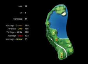 Tiger’s Eye – Big Cats Golf