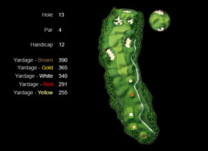 Tiger’s Eye – Big Cats Golf